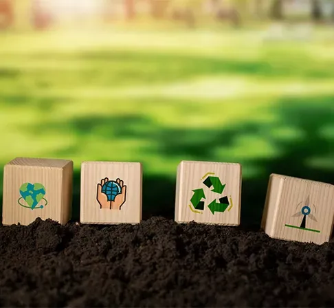 CDP – Carbon Disclosure Project Consulting - Growlity