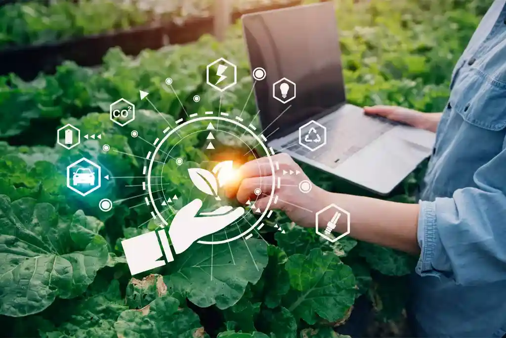 RJC Certification & Compliance Services - Growlity